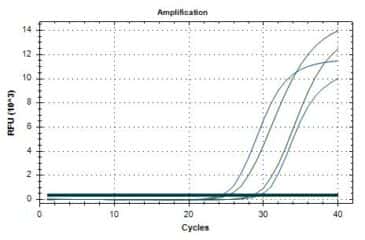 Enterobacter Cloacae – İdil Biotech
