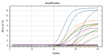 Sepsis Pathogen Detection Kit - İdil Biotech